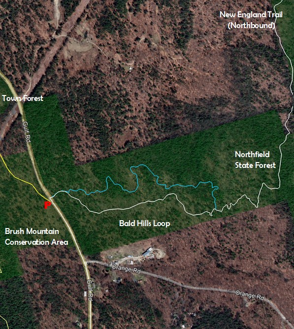 Bald Hills Loop Trail – Northfield Mass Trails