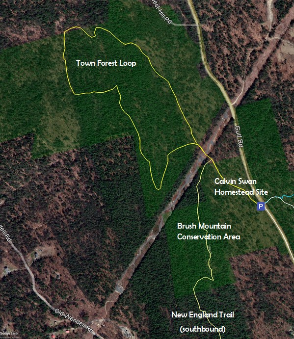 Northfield Town Forest – Northfield Mass Trails