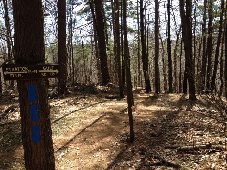 Bald Hills Loop Trail – Northfield Mass Trails